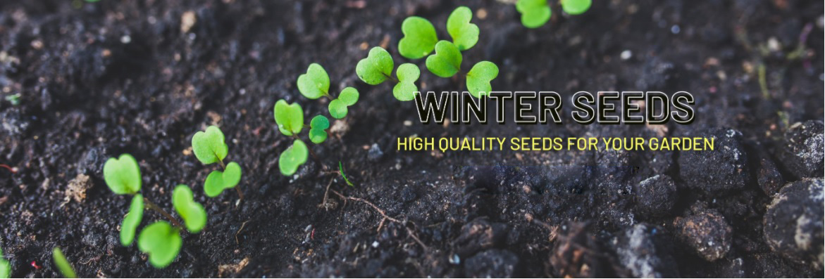 Mashtal Qatar – Online Plant Nursery